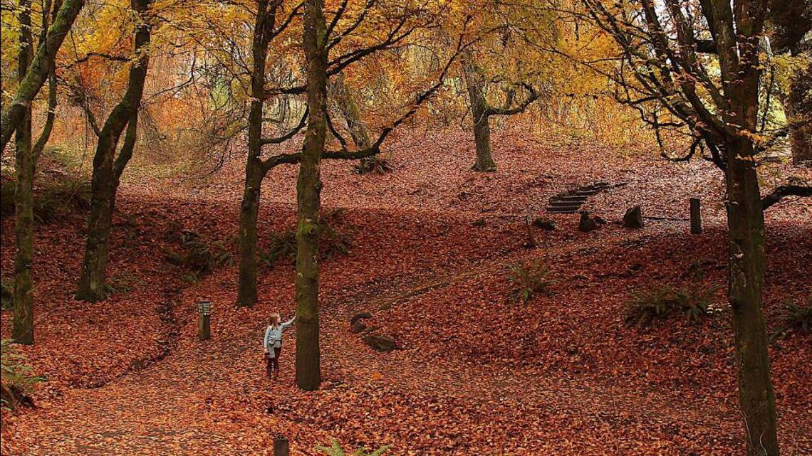 How do you deal with the Fall Blues? | kgw.com