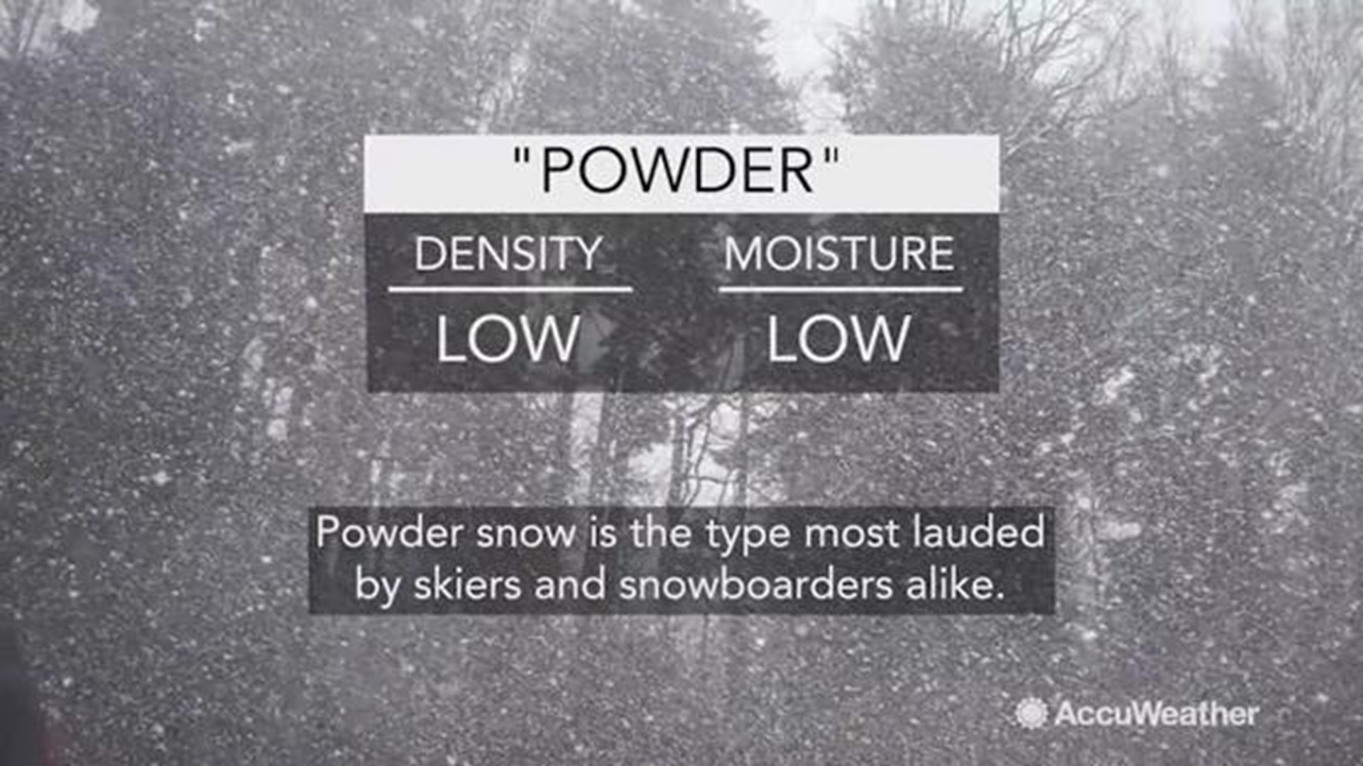Did you know there are 5 types of snow? | kgw.com