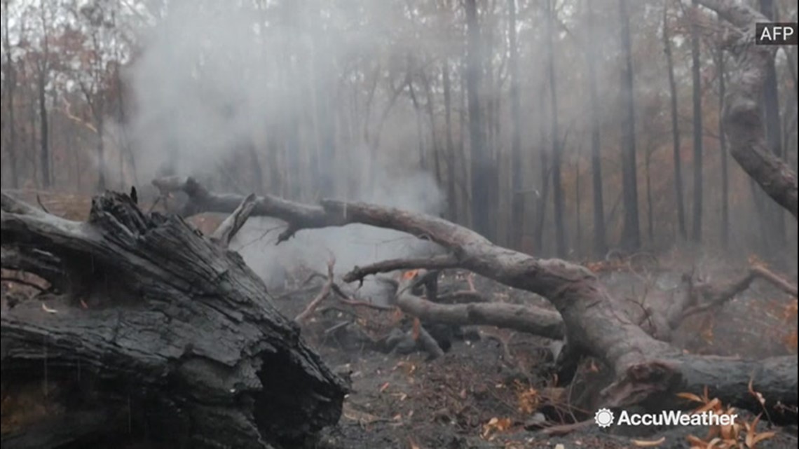 Rain douses wildfire-ravaged forest | kgw.com