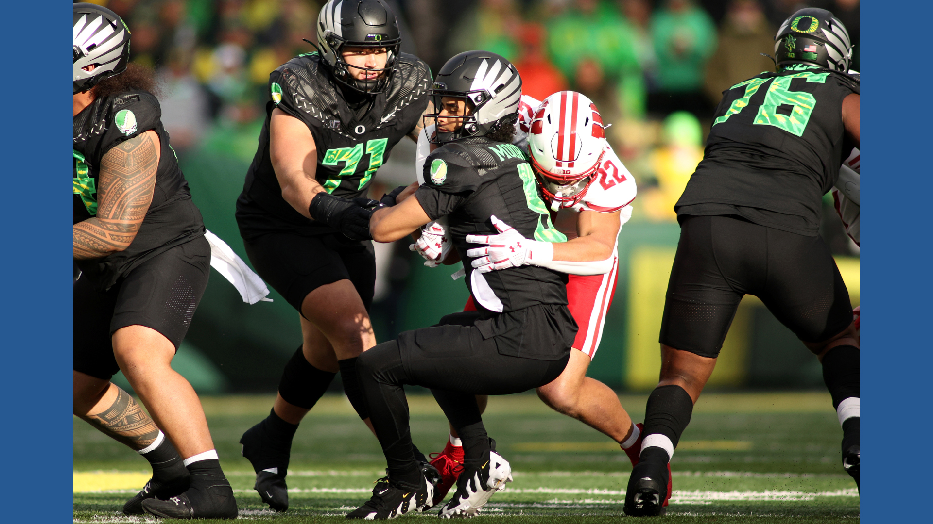 Humane Society for Southwest Washington waives cat adoption fees | kgw.com