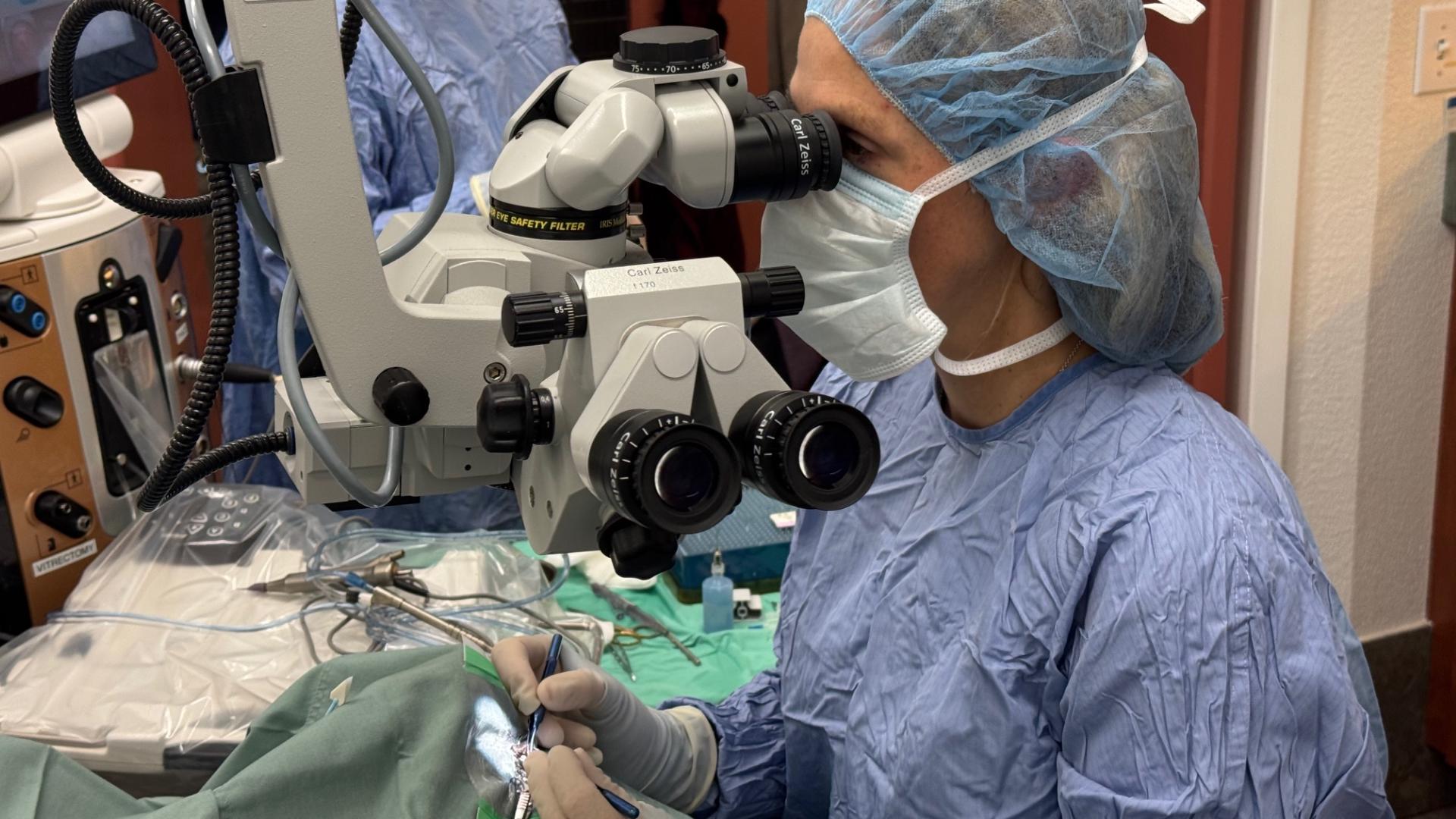 Wolverine sees brighter future after groundbreaking eye surgery | kgw.com