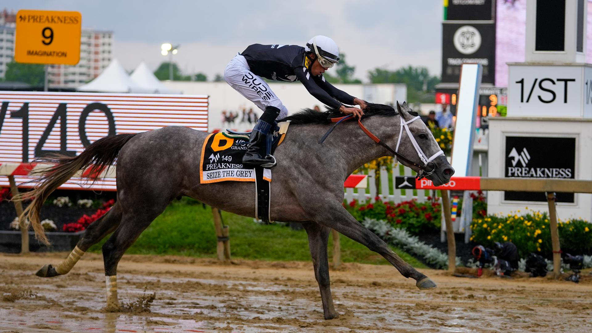 Preakness 2024: Seize the Grey wins Preakness Stakes horse race | kgw.com