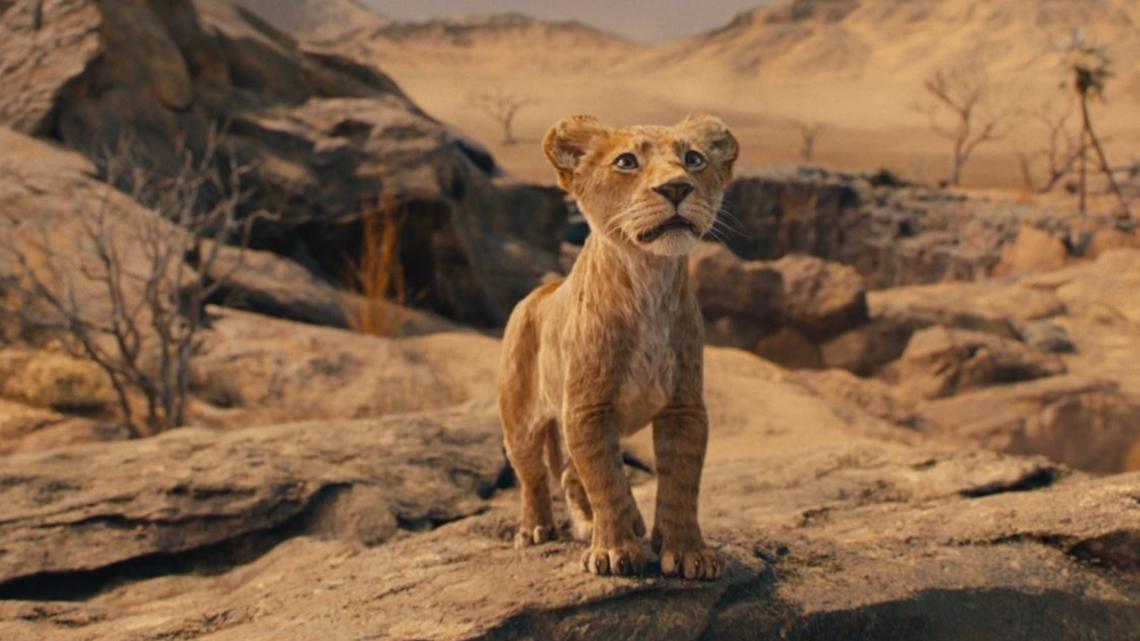 'Mufasa: The Lion King': See the first look at young Mufasa, Scar | kgw.com