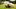 Jonathan the tortoise is 'alive and well' following reports of his ...