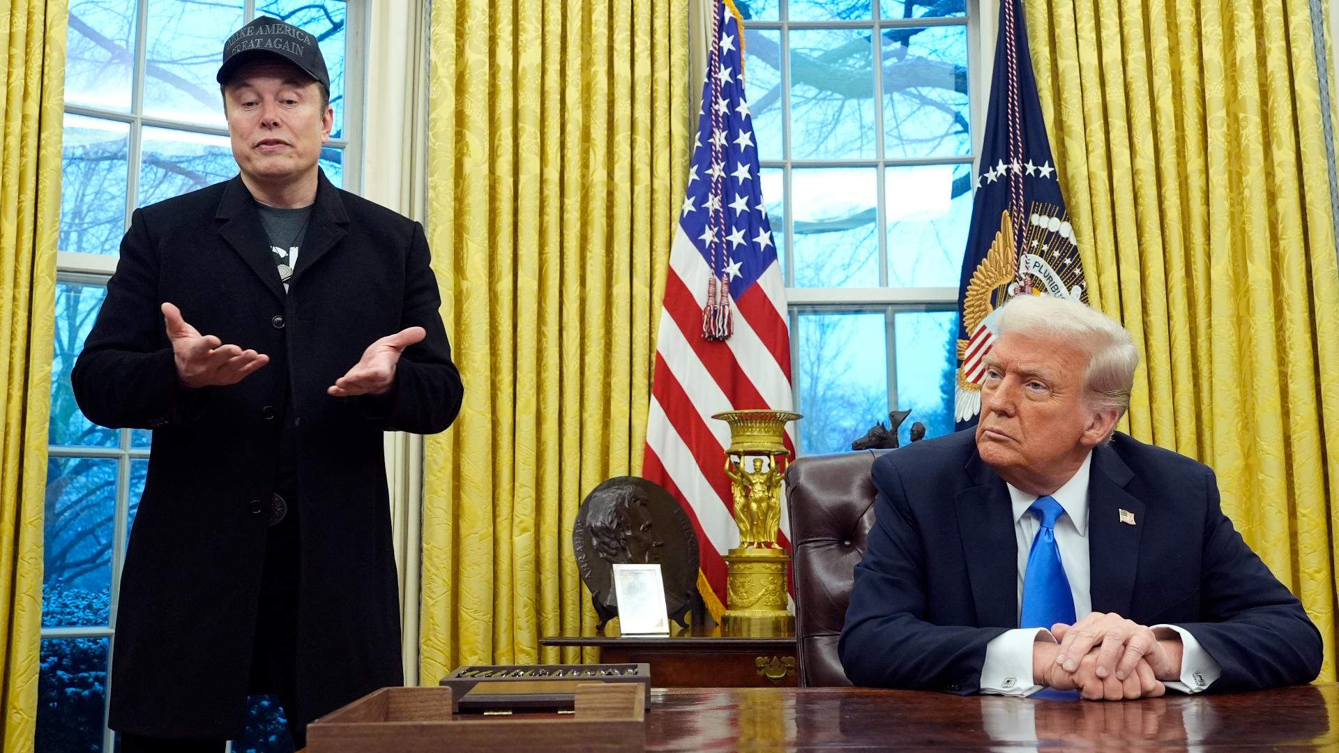 Trump, Elon Musk support idea for 'DOGE Dividend' payments to Americans ...
