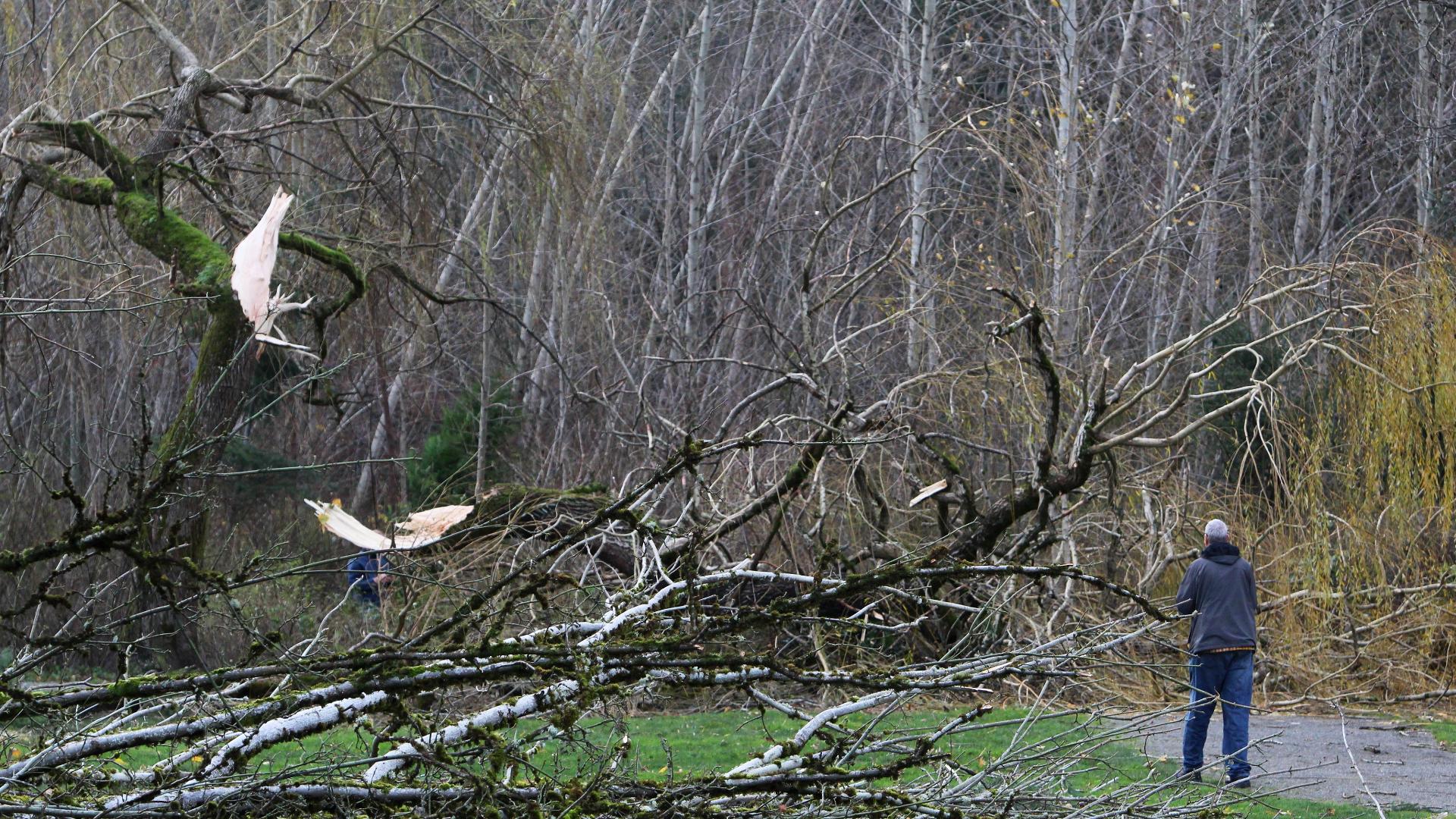 Portland's Leading Local News: Weather, Traffic, Sports and more in ...