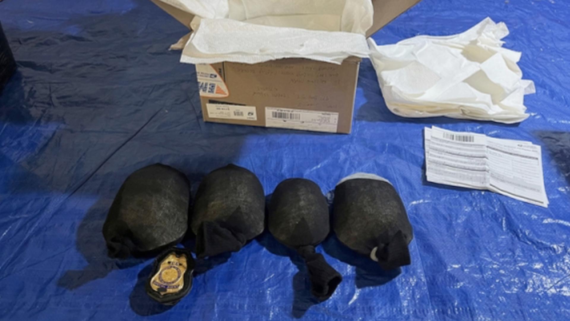 NY resident pleads guilty in $1M turtle smuggling case | kgw.com