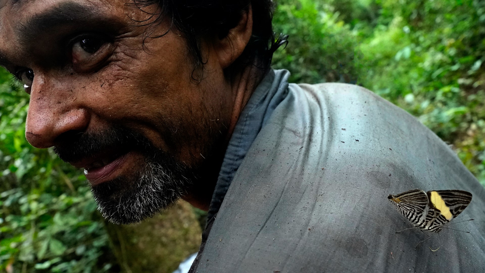 Better treatment of farmers, soil can help save Amazon rainforest | kgw.com