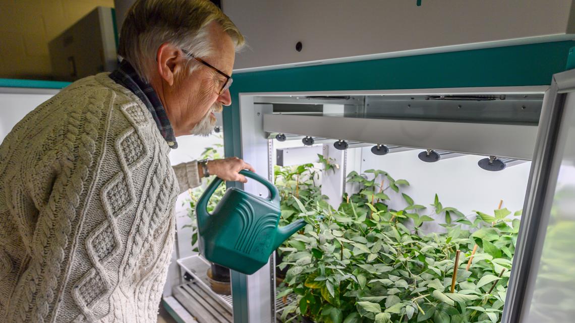 USAID shutdown upends nonprofits, farms and other American companies ...