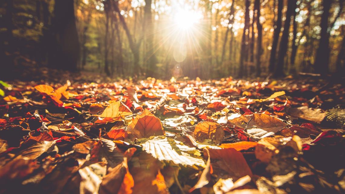 When does fall start in 2025? | kgw.com