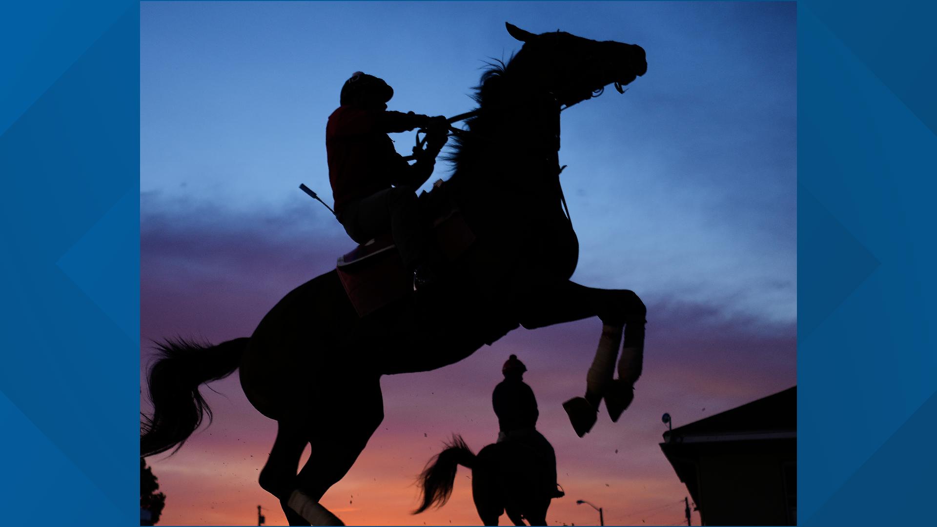 Kentucky Derby horse names show wit and spark curiosity about their ...
