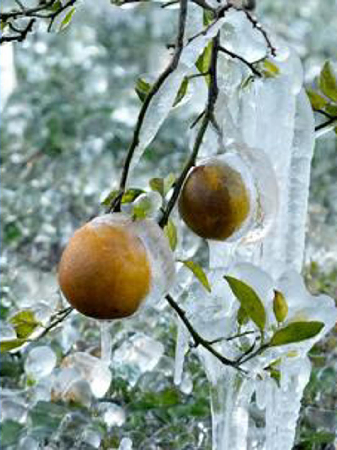 Portland Weather Radar | Portland, Oregon | kgw.com