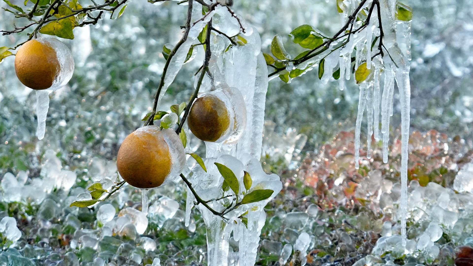 More winter weather leads to heavy snow, canceled flights and, in ...