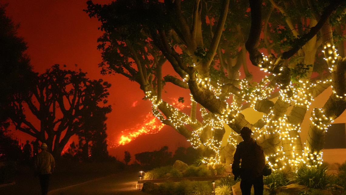 Portland mayor-elect Keith Wilson gives victory speech | kgw.com