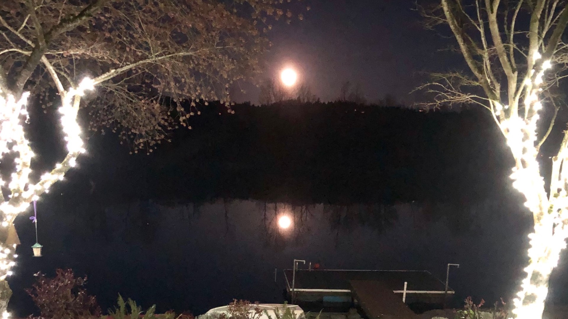 Man drowns in Horseshoe Lake while fleeing from police | kgw.com