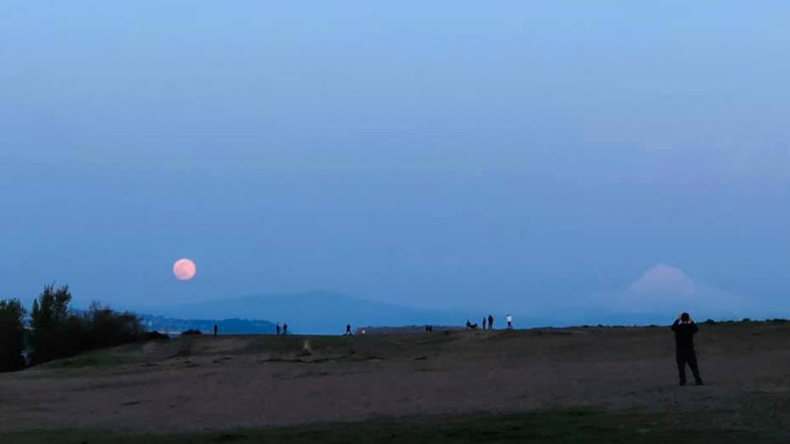 Photos: ‘Pink’ Supermoon rises over Oregon | kgw.com