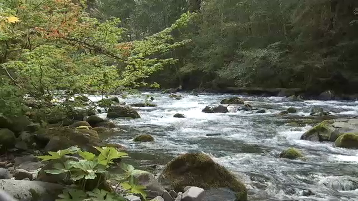 Grant's Getaways: Aufderheide Scenic Byway | kgw.com
