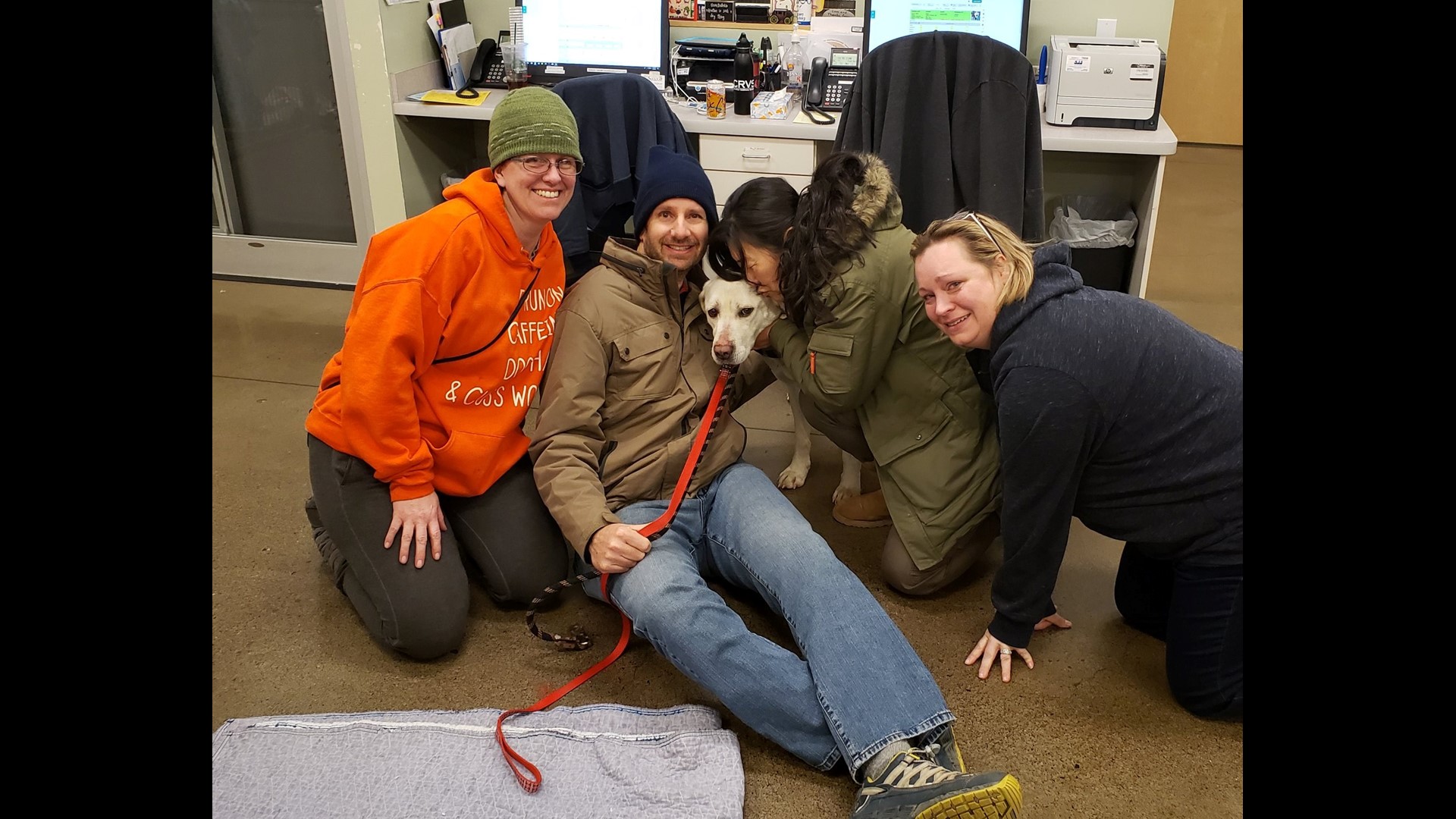 I Paw'd It Forward searches for lost pet | kgw.com