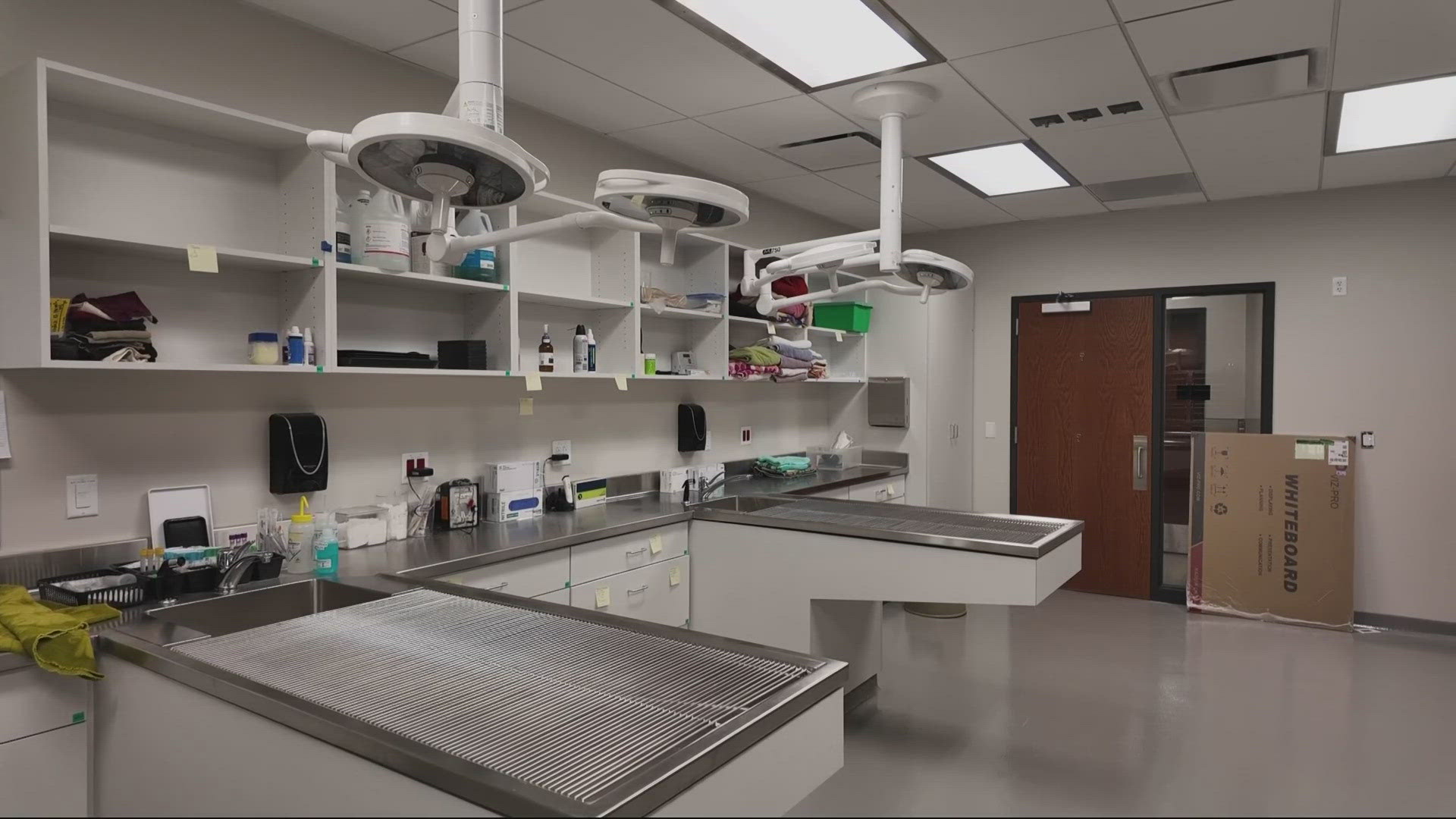 DoveLewis expands footprint in Northwest Portland | kgw.com