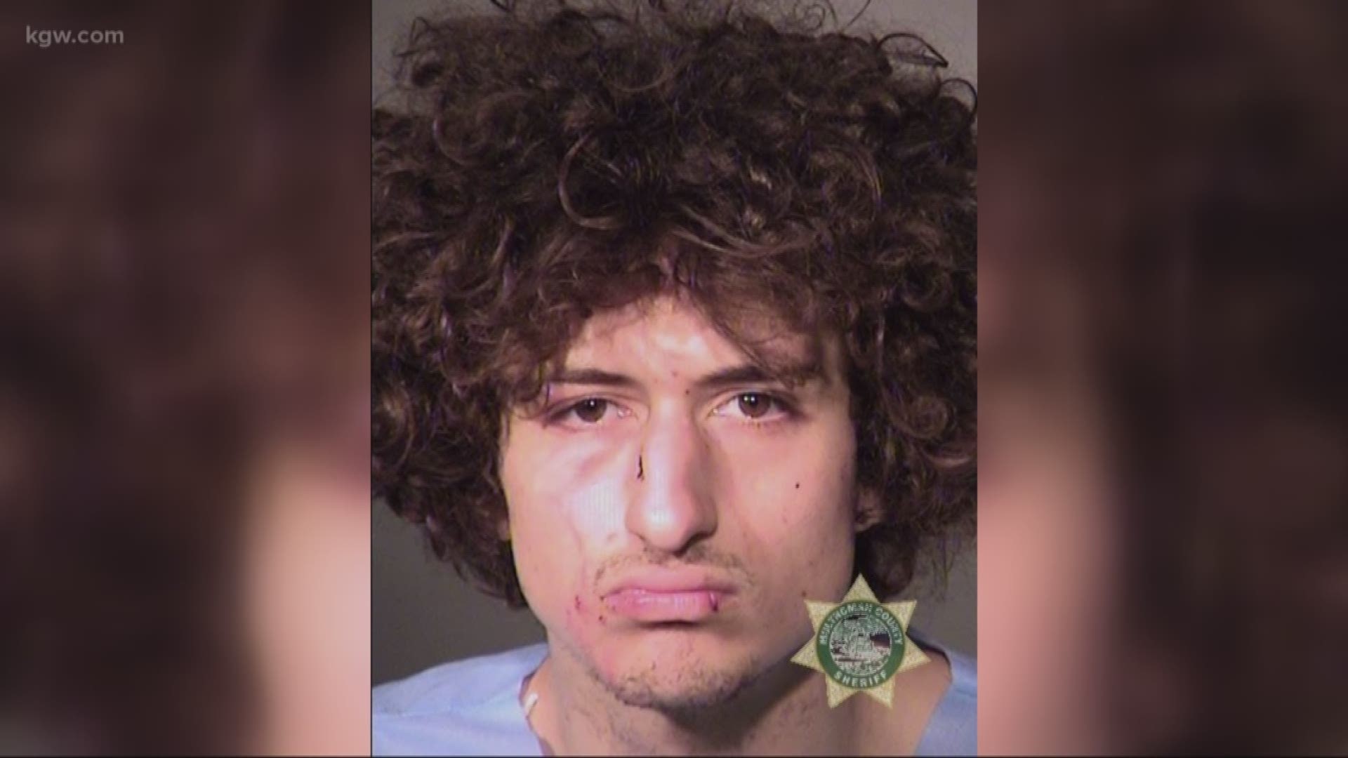 Woman Killed As Drunk Driver Crashes Stolen Car In Se Portland Flees