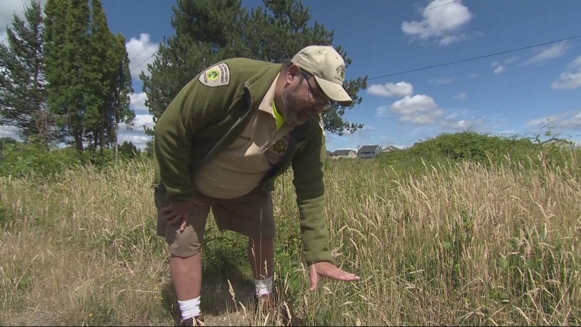 Homeowners urged to cut dry grasses — or face code enforcement | kgw.com