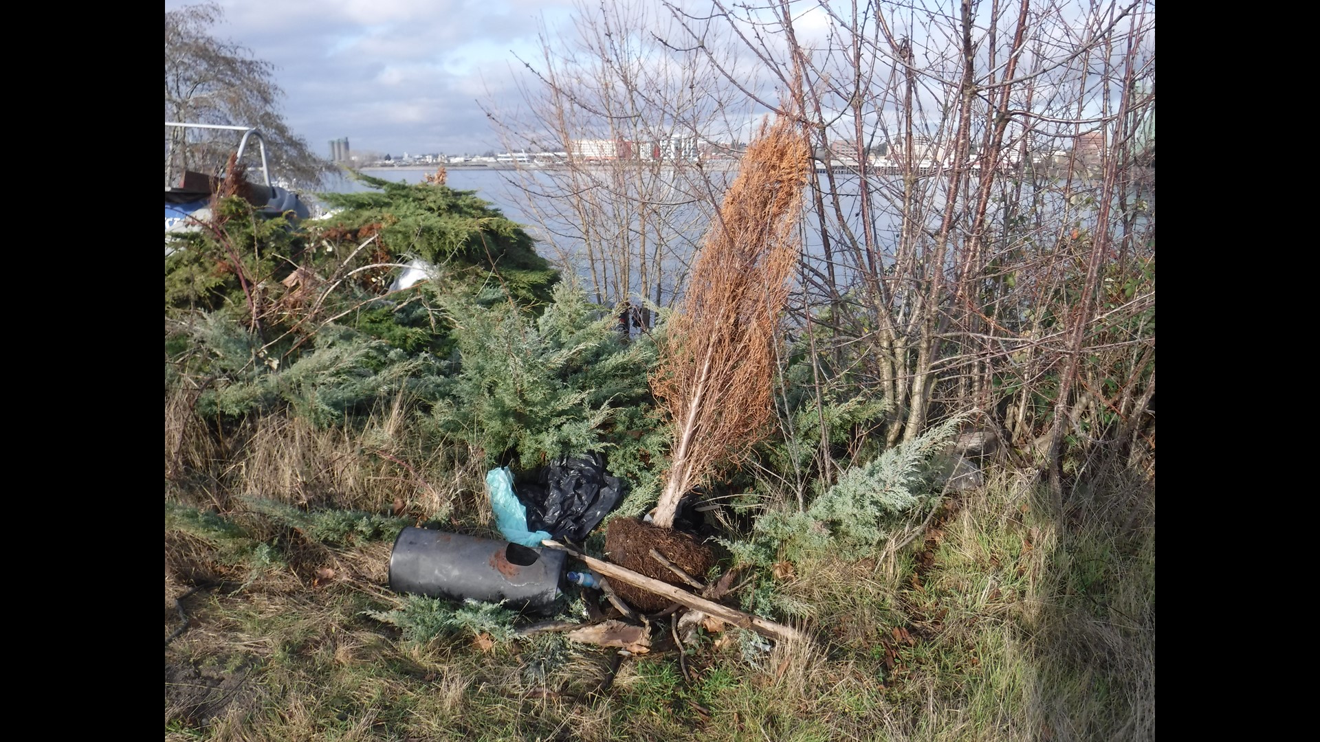 Transient boats now populating, sinking in Columbia River | kgw.com