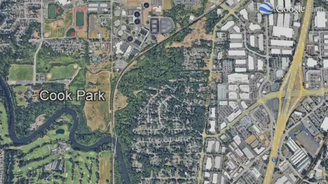 ODFW: Reported cougar at Tigard's Cook Park was a house cat | kgw.com