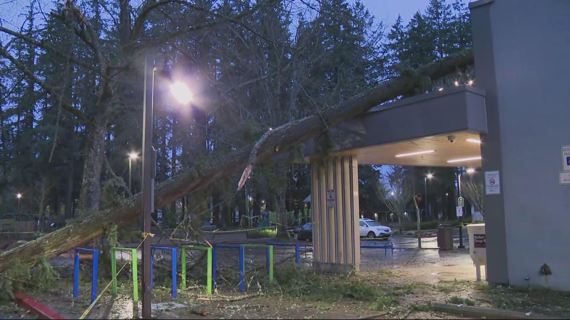 Portland Parks & Rec tackles nearly 80 tree emergencies from Monday's ...
