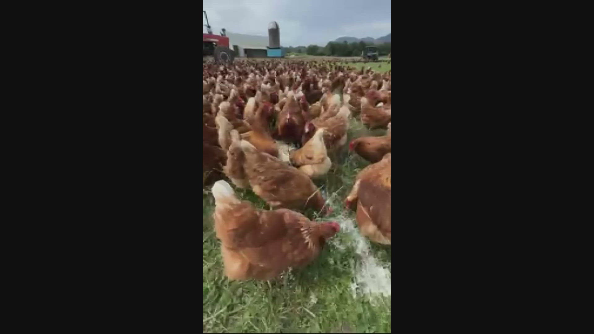 Pepperdine wins 67-63 against Portland | kgw.com