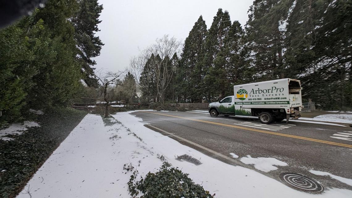Portland winter storm: 3 dead, hundreds of thousands lose power | kgw.com