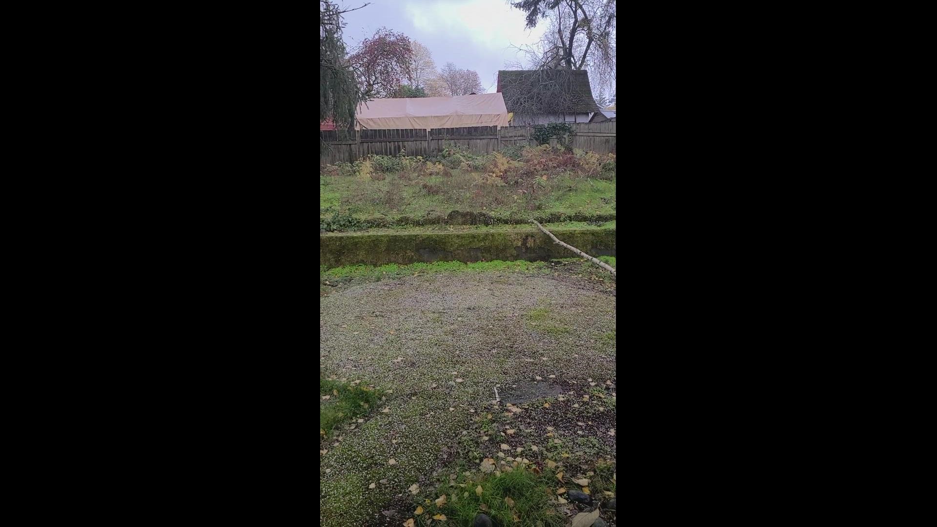 Weather Hailing In NE Portland Cully Oregon | kgw.com