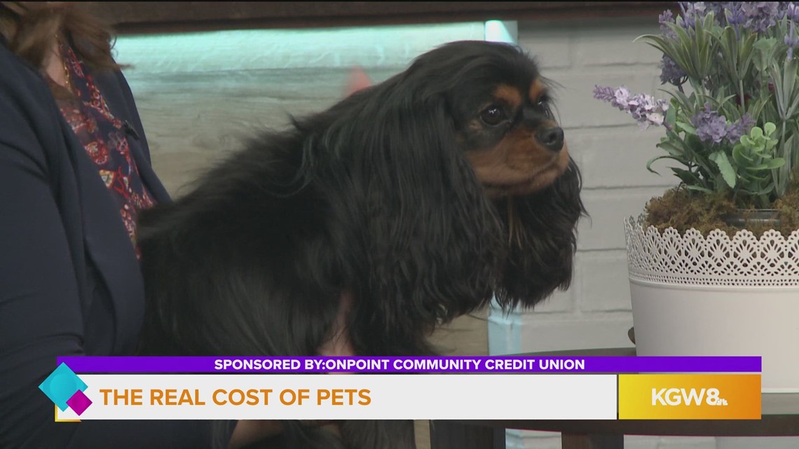 On the Money: The real cost of owning a pet | kgw.com