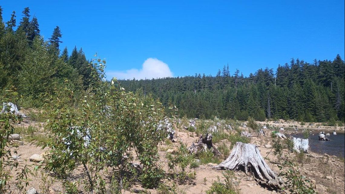 Boulder Fire near Mount Hood estimated at 233 acres | kgw.com