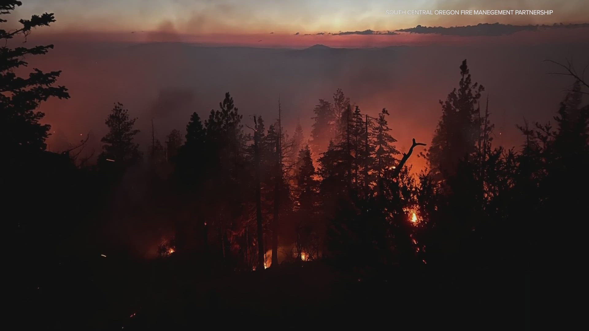 Elk Fire in Klamath County estimated to 2,000 acres | kgw.com