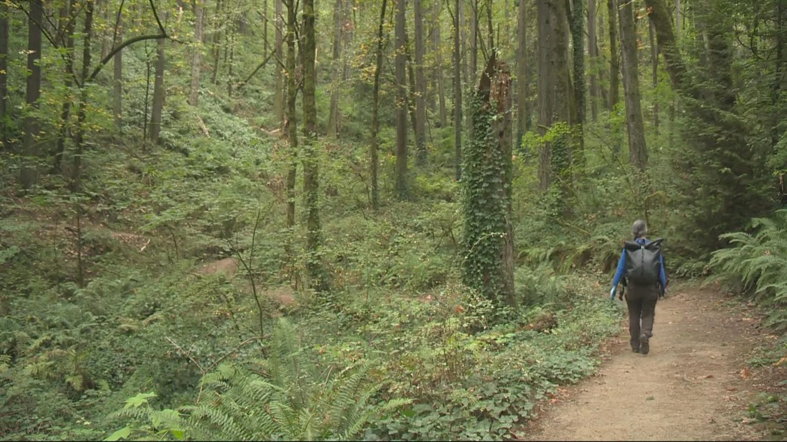 Volunteers remove invasive English ivy from parks, natural areas across ...
