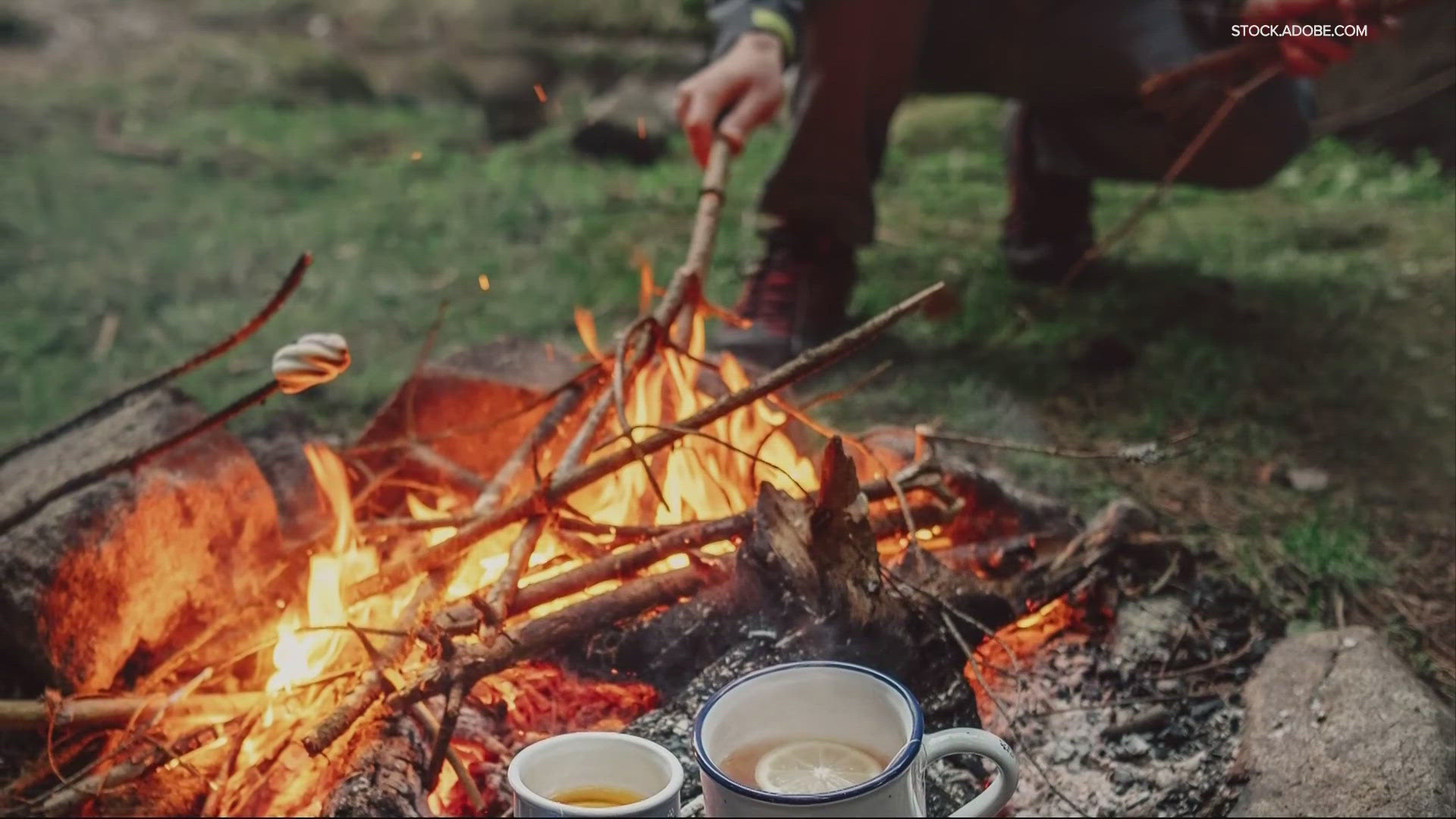 Vancouver Fire Marshal announces recreational burn ban, starting June ...