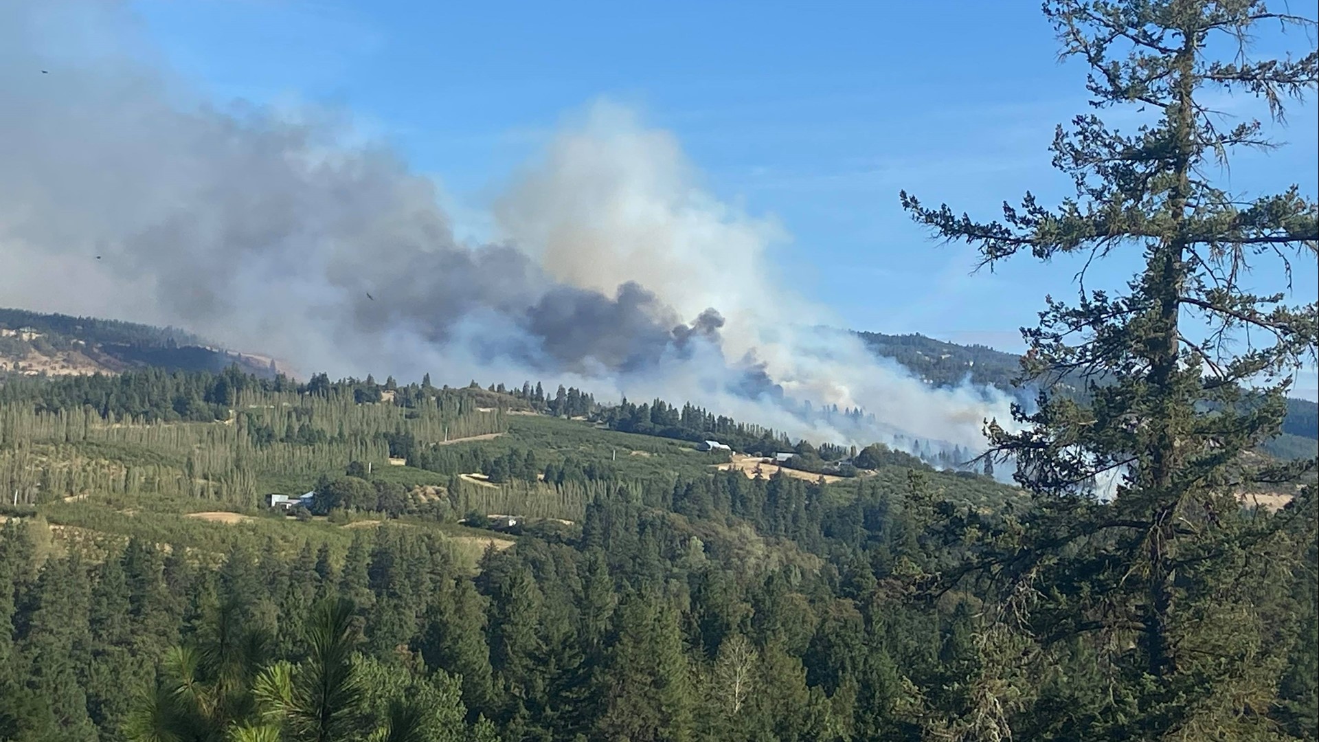 Wildfire spreads near Mosier in Oregon's Columbia River Gorge | kgw.com