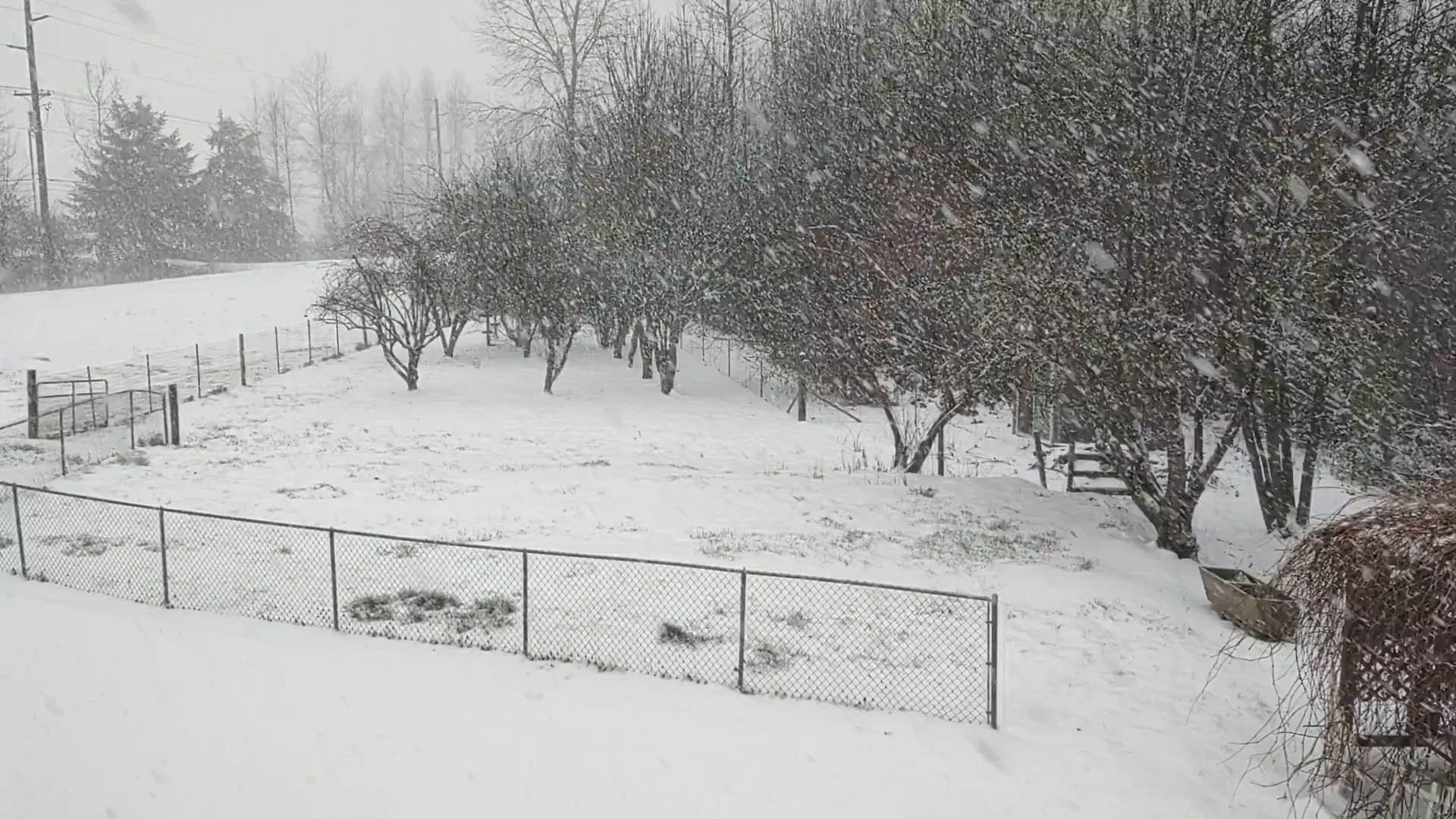 Lots of snow in Castle Rock | kgw.com