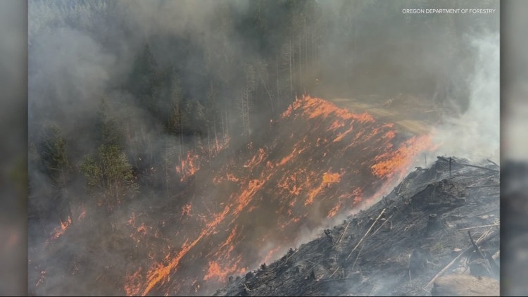 Wildfires coverage from KGW in Portland, Oregon | kgw.com