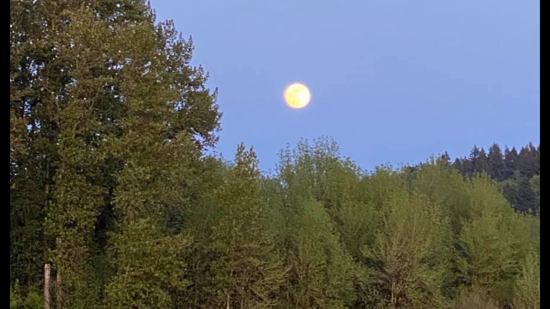 Your photos: 'Flower' supermoon rises over Oregon | kgw.com
