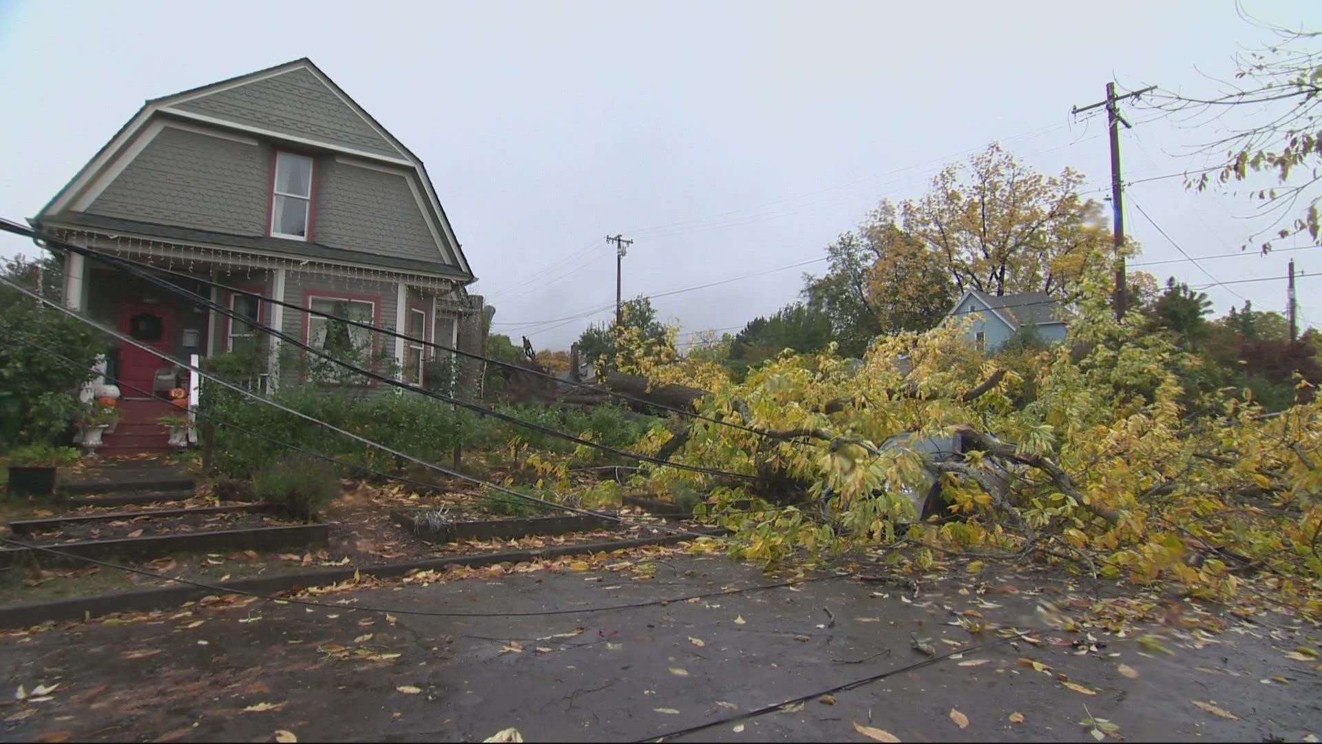 Rain and wind bring down trees and knock out power in Portland | kgw.com
