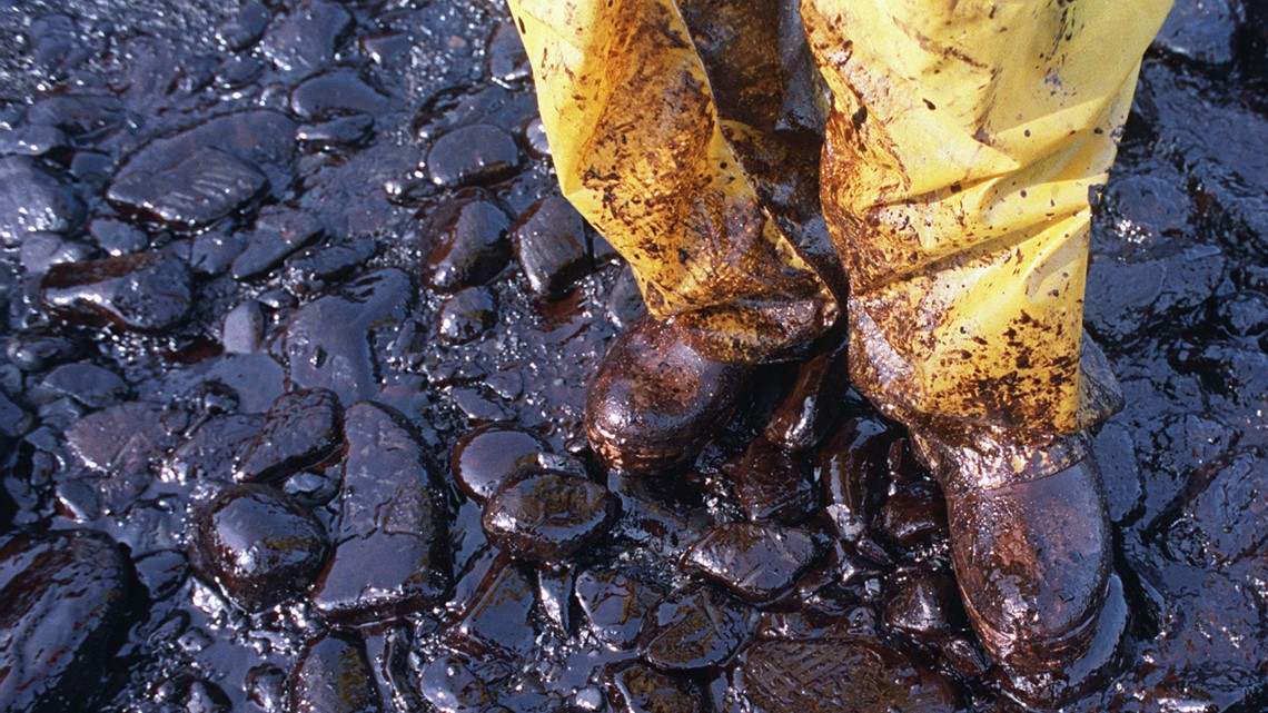Photos: 1989 Exxon Valdez oil spill in Prince William Sound, Alaska ...