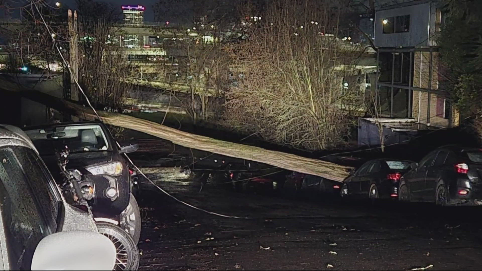Severe weather knocks down trees, power lines across the Portland Metro ...
