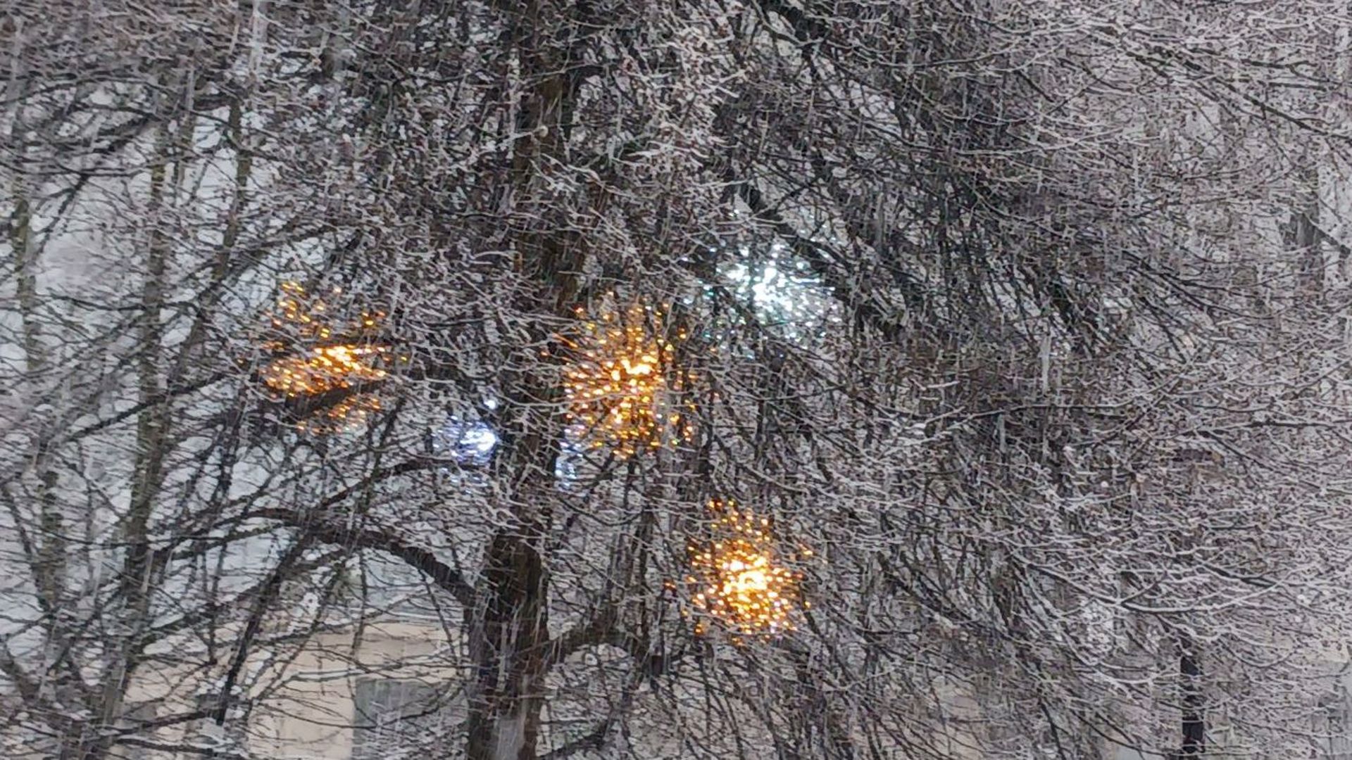 Winter storm in Oregon: Record snow falls in Portland | kgw.com