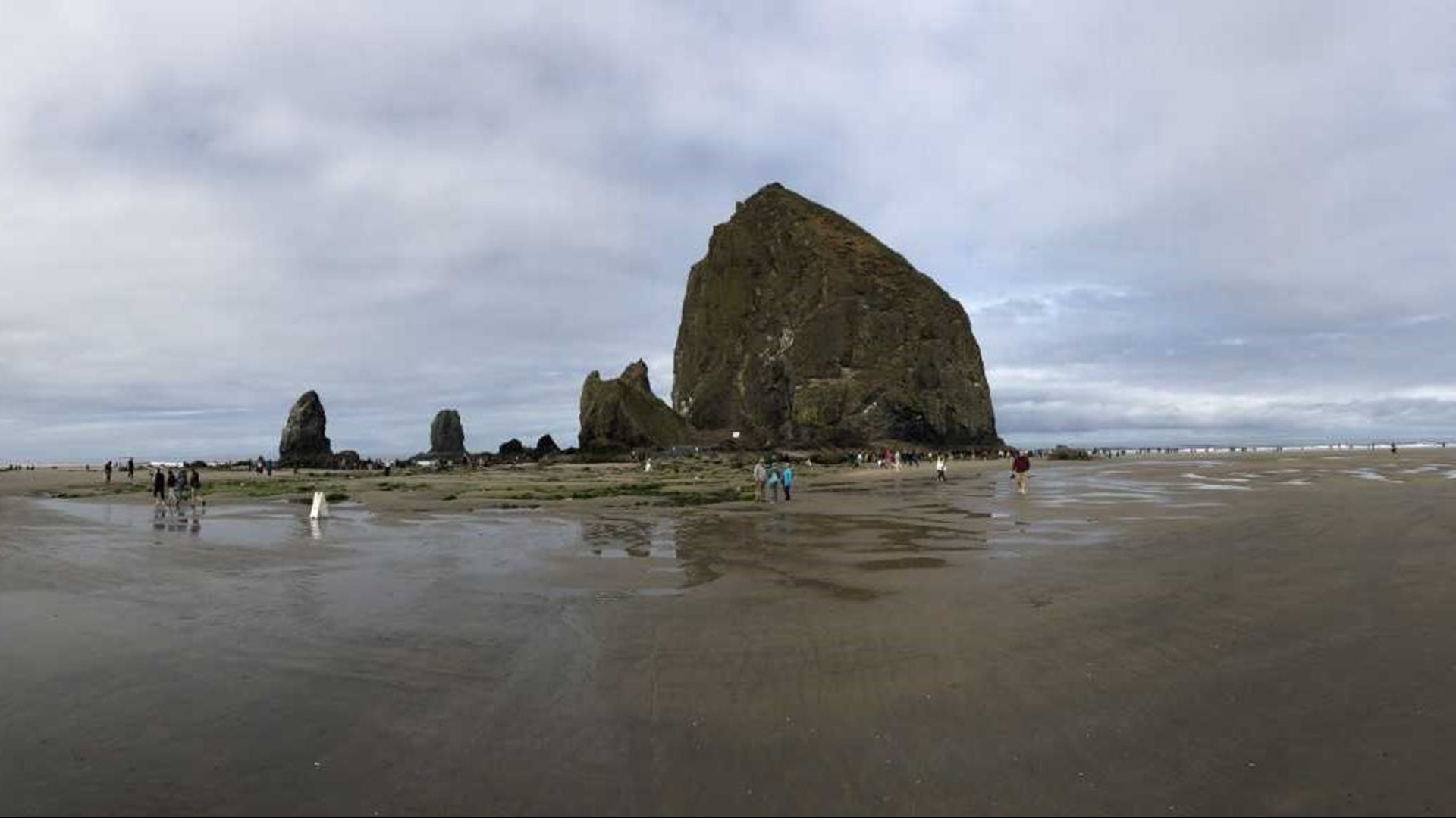 Low tide at Haystack Rock offers rare walking experience | kgw.com