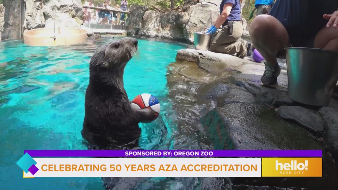 The Oregon Zoo celebrates 50 years of continuous accreditation by the ...