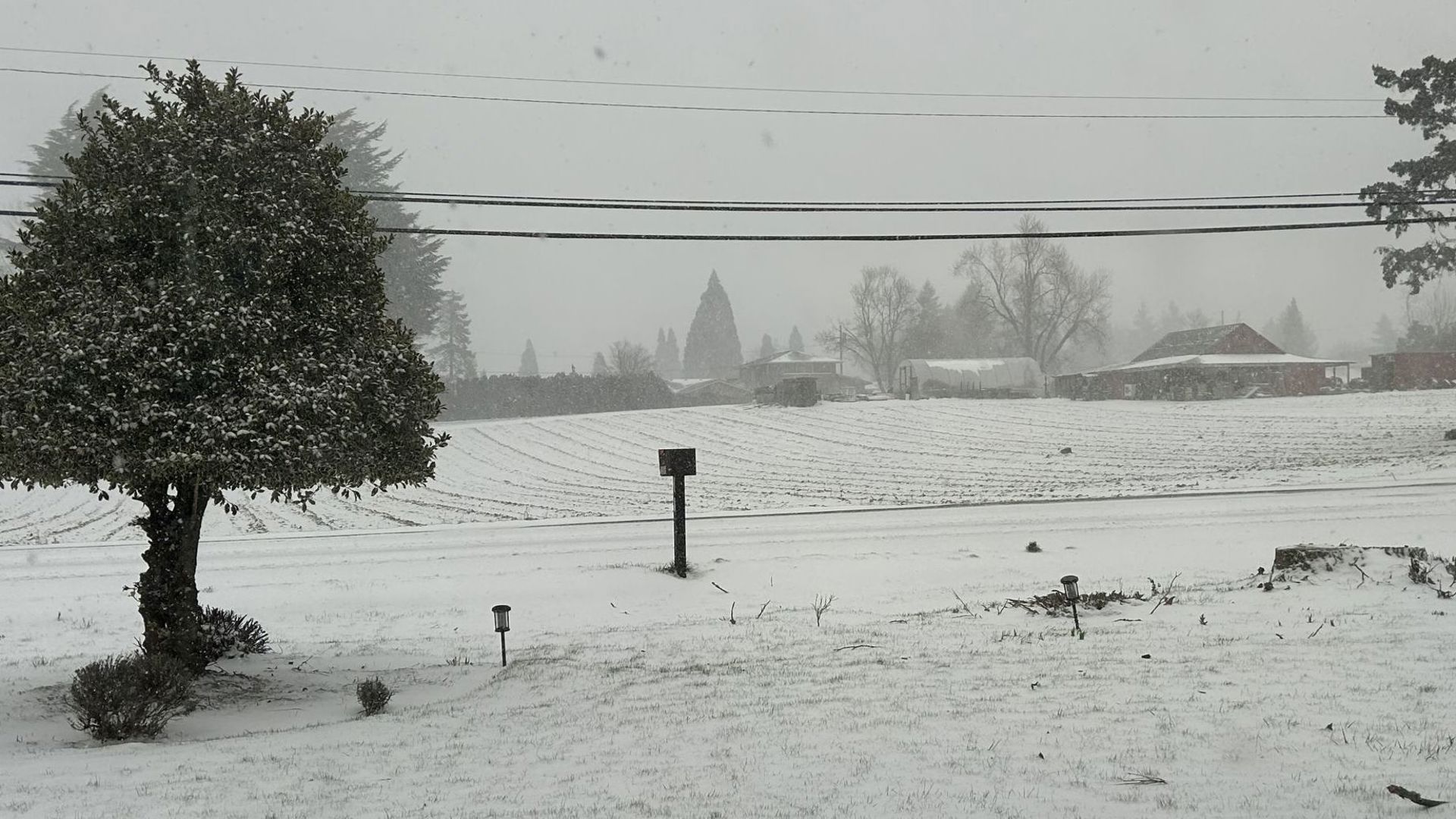 Snow storm wallops Portland region | kgw.com