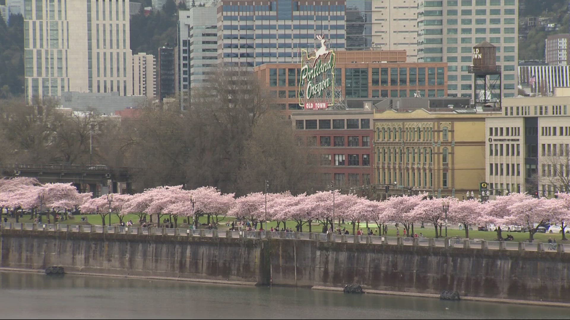 City of Portland loses $6.7M to fraud scheme | kgw.com