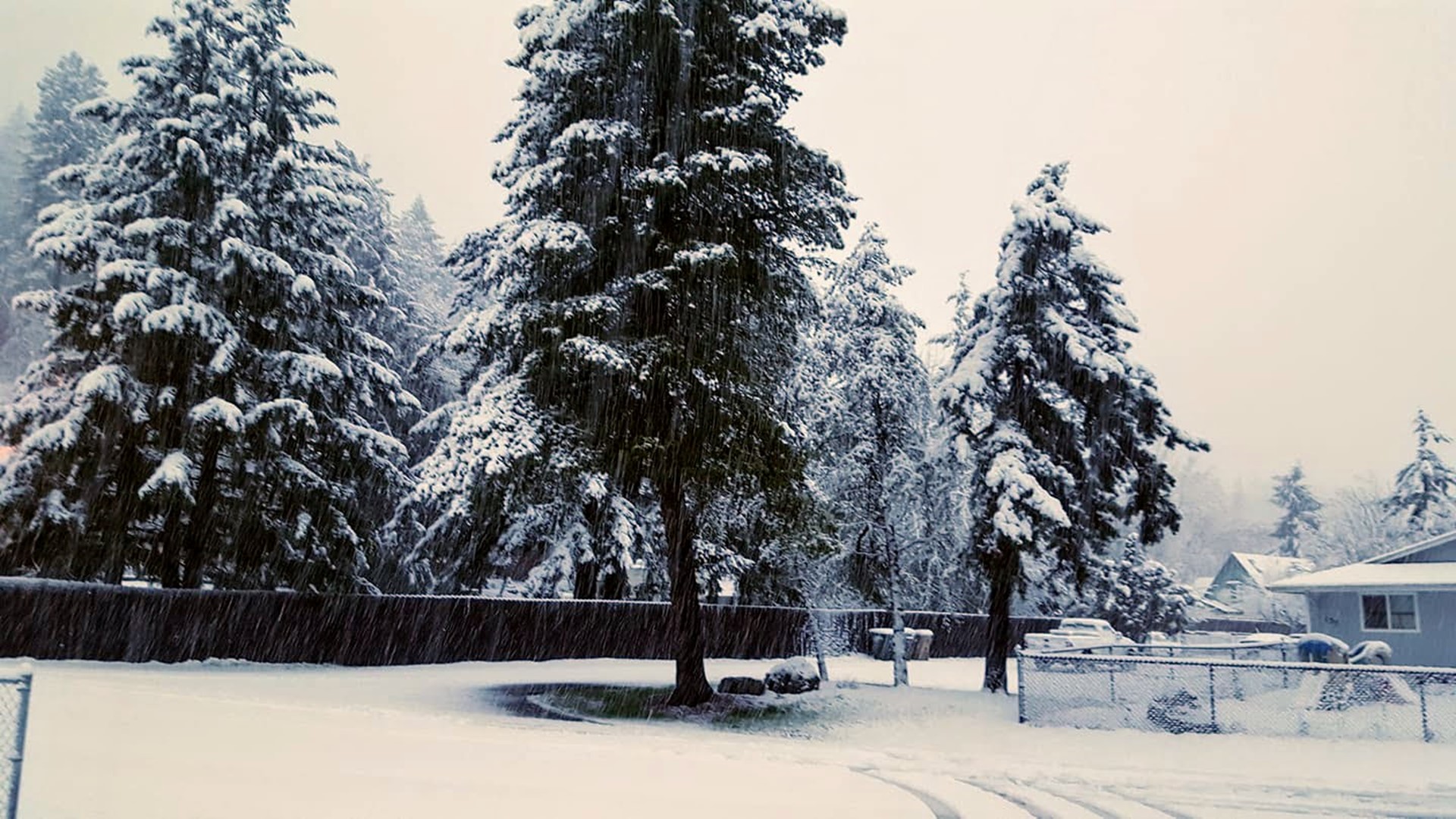 Your Pics: Snow in Portland and other areas of Oregon and Washington ...