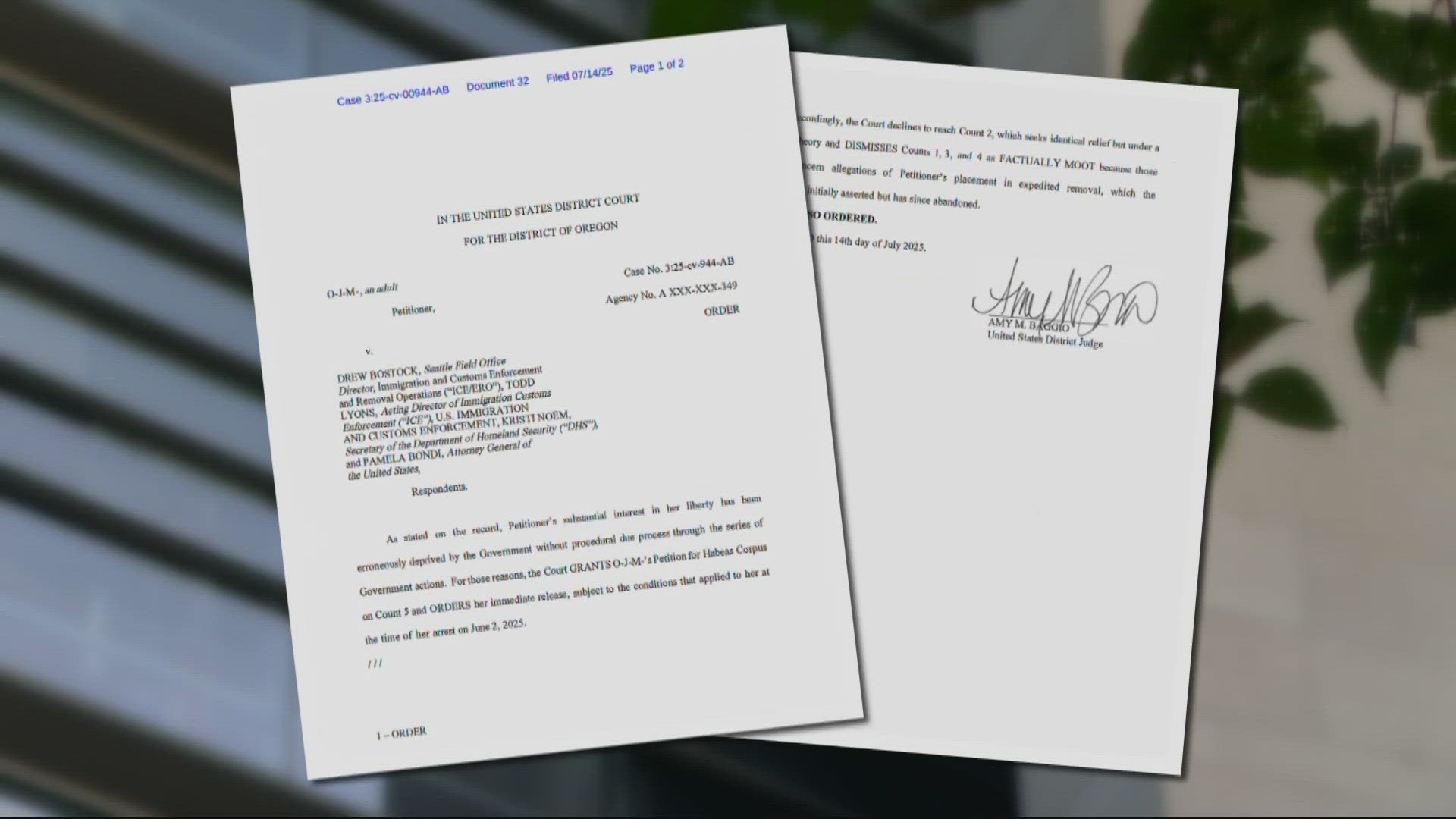 Judge Orders Release Of First Known Asylum Seeker Detained By Ice At